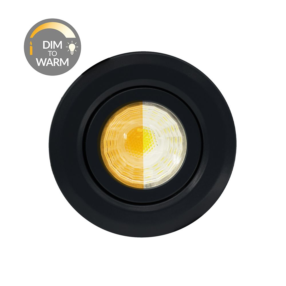 Squid Ink Blue CCT Dim To Warm LED Downlight Fire Rated IP65 - Elesi