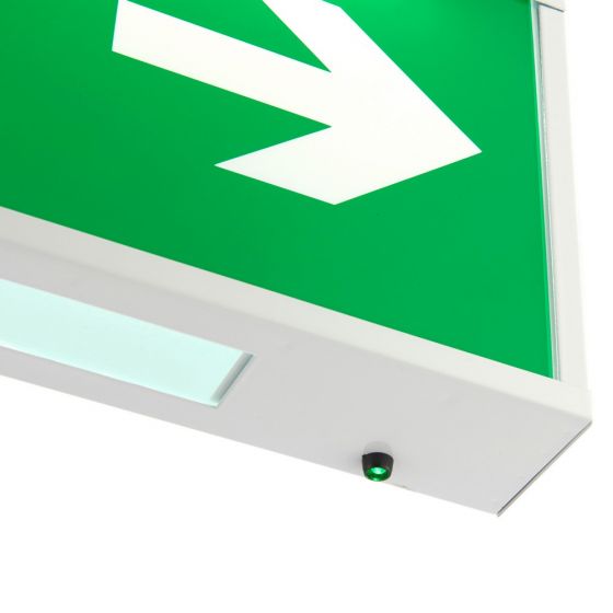 Sign Box 1.5W Daylight White Emergency Light - Elesi