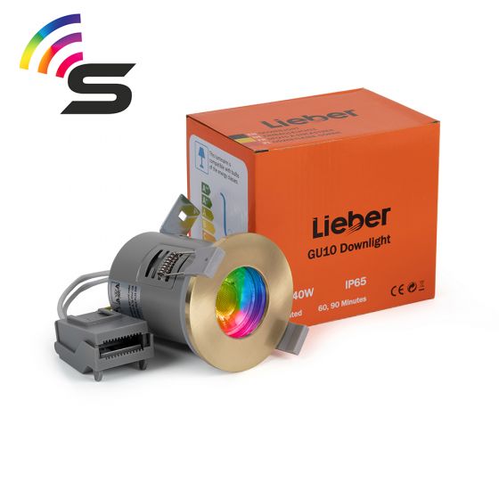 Lieber Anthracite IP65 Fire Rated Colour Changing Smart Downlight - Elesi